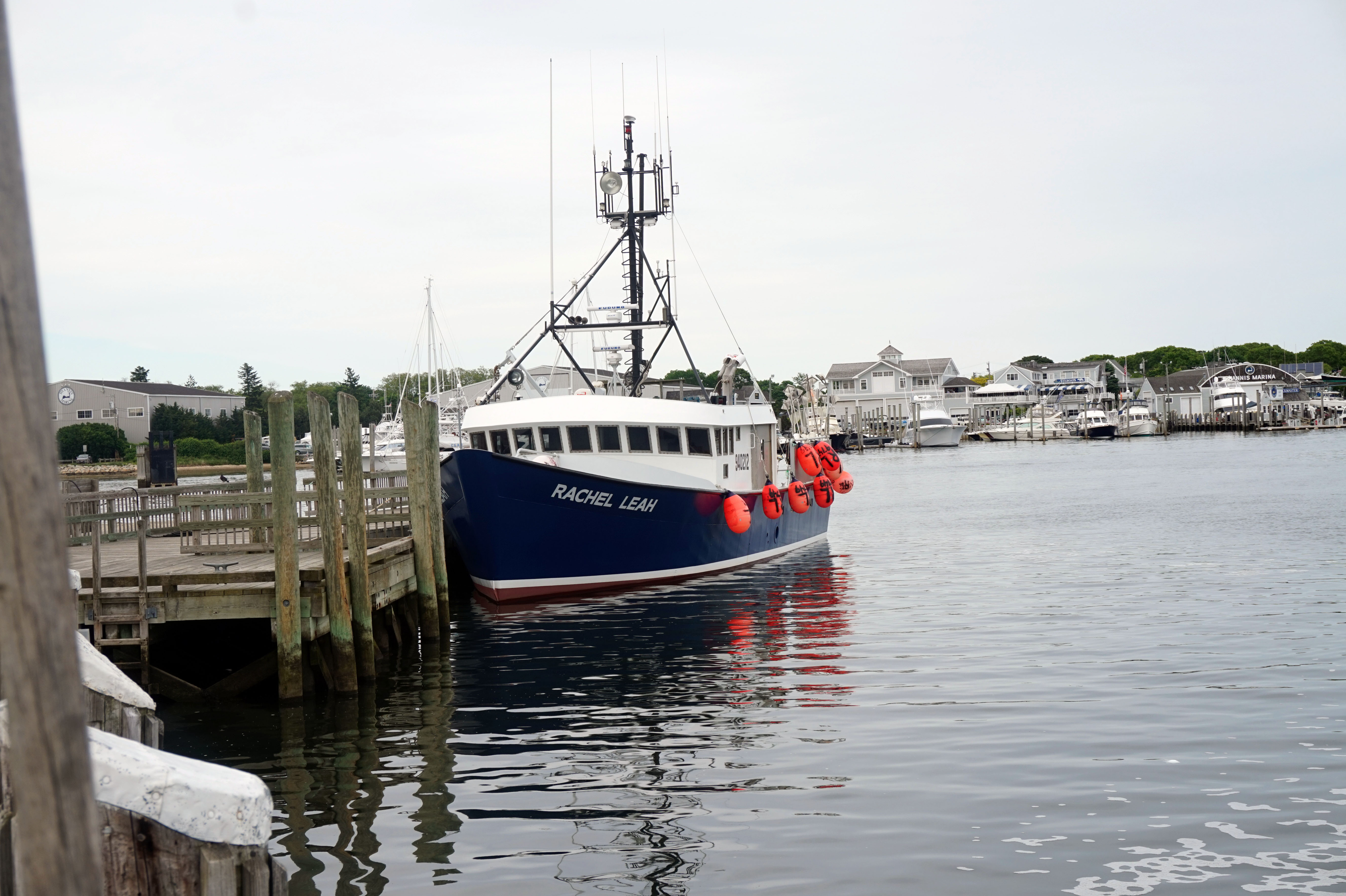 24 Hours in Cape Cod